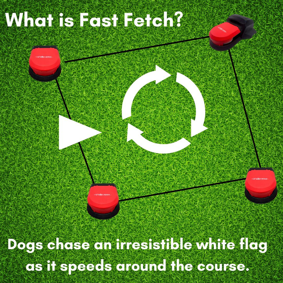 Fast Fetch Dog Lure Course - Rechargeable - Includes Battery, Remote ...