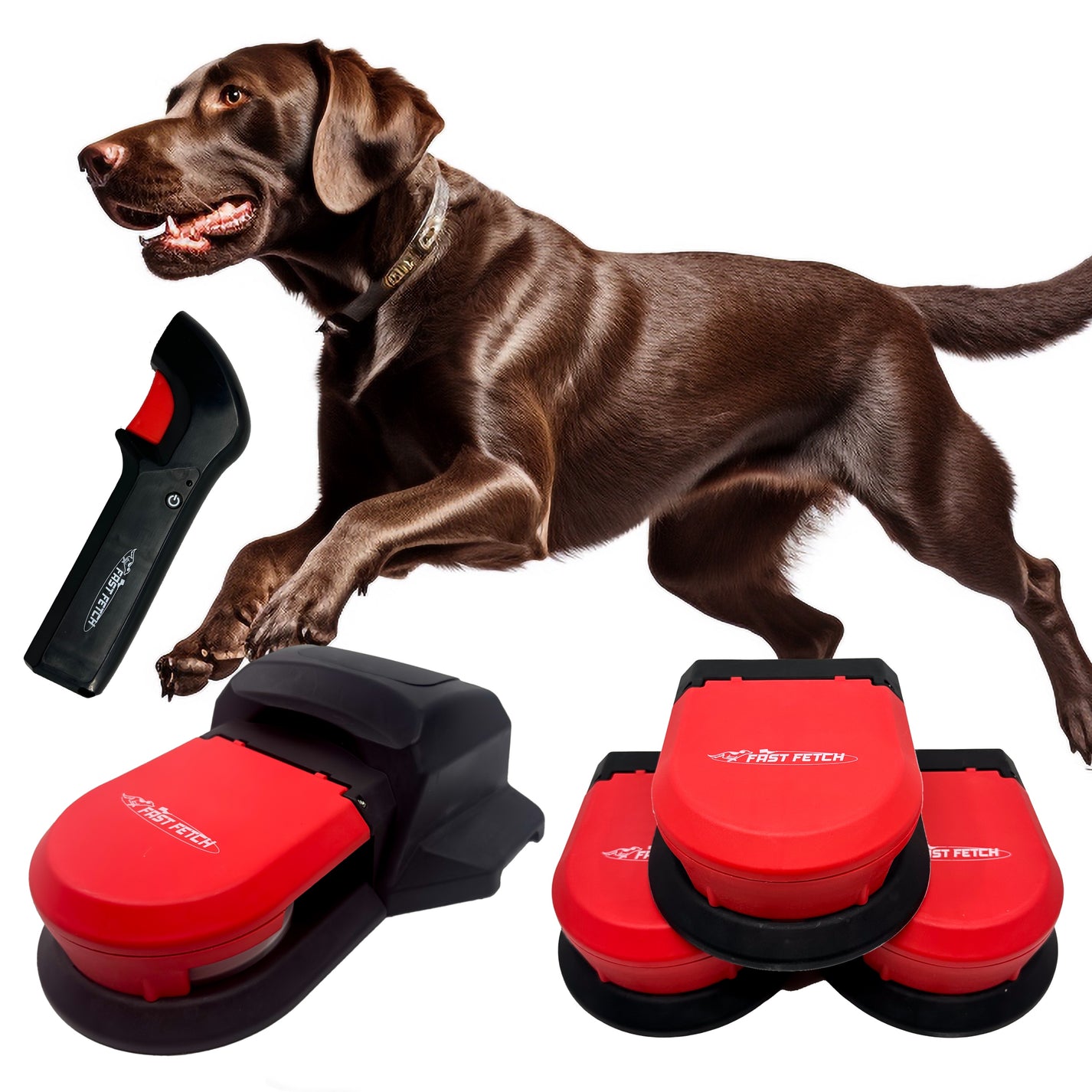 Fast Fetch Dog Lure Course - Rechargeable - Includes Battery, Remote ...