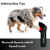 Fast Fetch Dog Lure Course - Rechargeable - Includes Battery, Remote ...